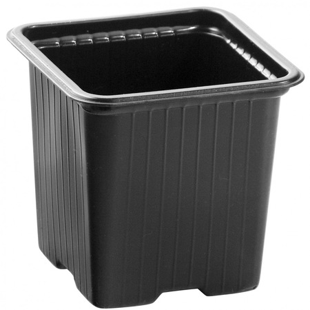 Set 20 de vase pentru rasaduri, 70 x 70 x 65 mm, polistiren - eMAG.ro