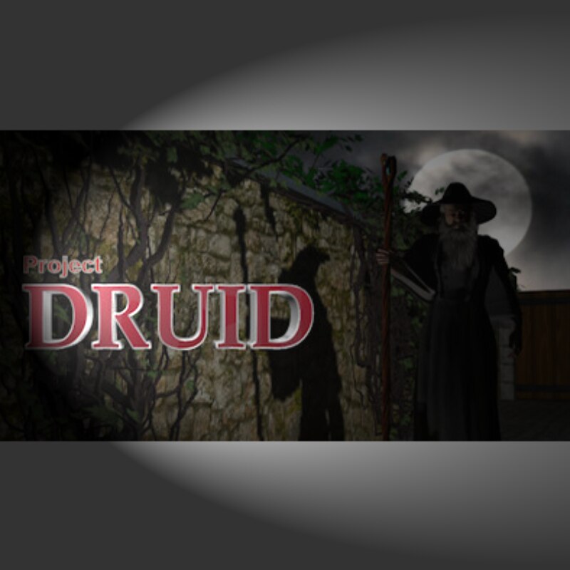 Joc PC Project Druid - 2D Labyrinth Explorer-, cod de activare Steam - eMAG.ro