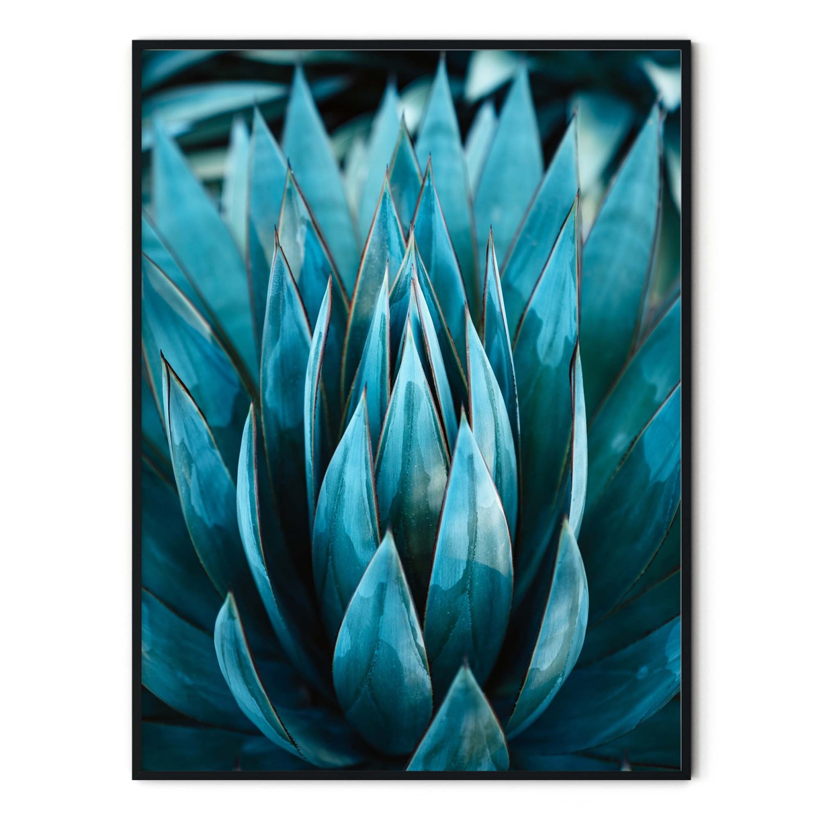 Tablou decorativ, Intaglio, Modern, color, Flori, Cactus turcoaz, print ...