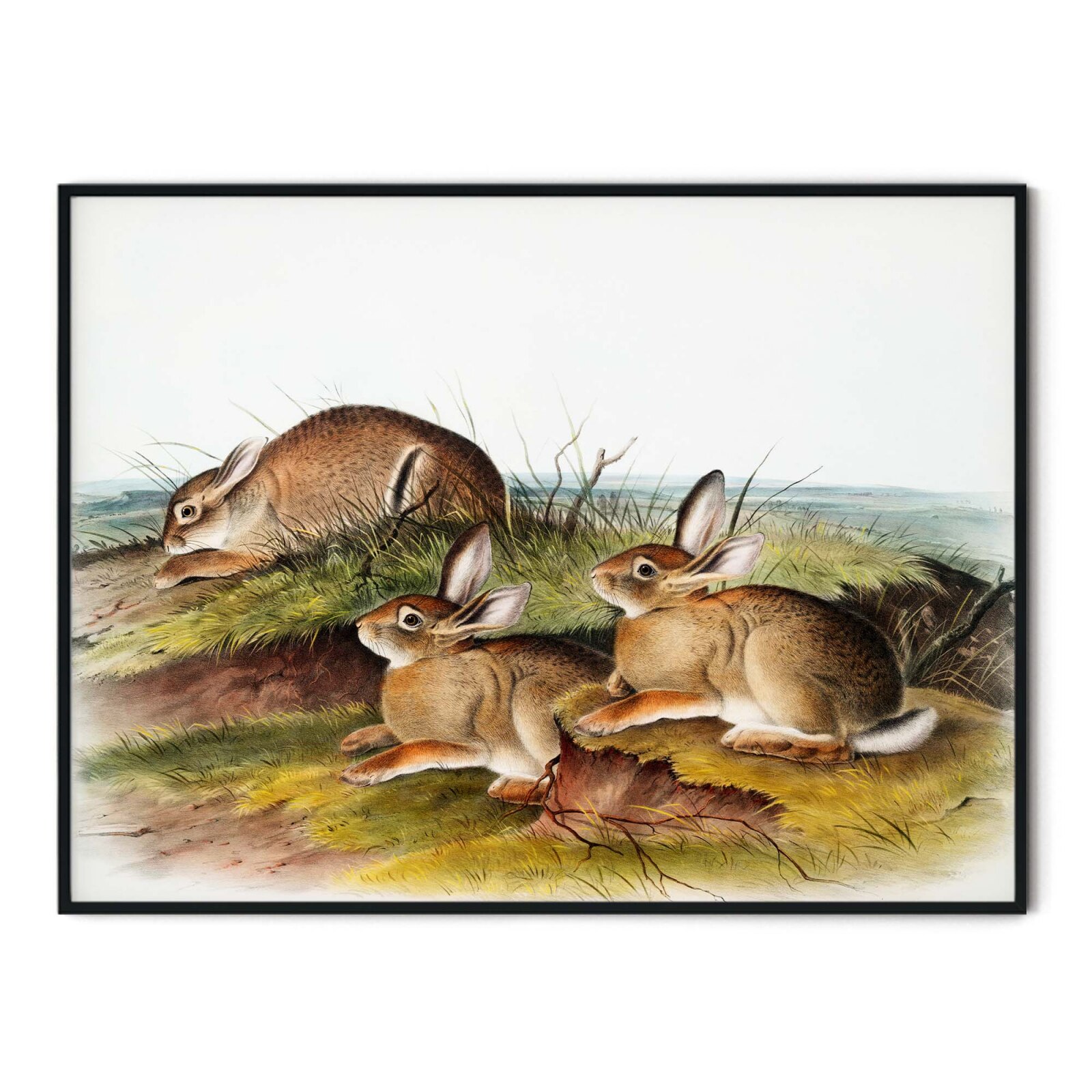 Tablou decorativ, Intaglio, modern, color, neinramat, print pe hartie ...