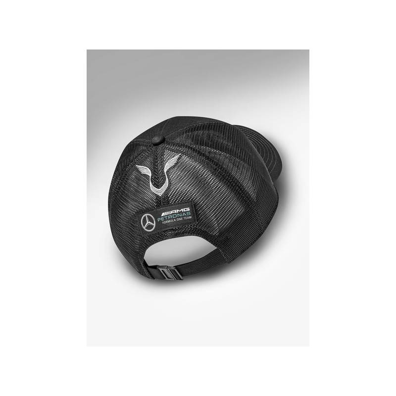Sapca Mercedes AMG Petronas Formula One Team, Lewis Hamilton, Sezon ...