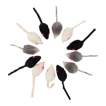 Set 12 soareci jucarie, Mbooulc, Textil/Plastic, Multicolor - eMAG.ro