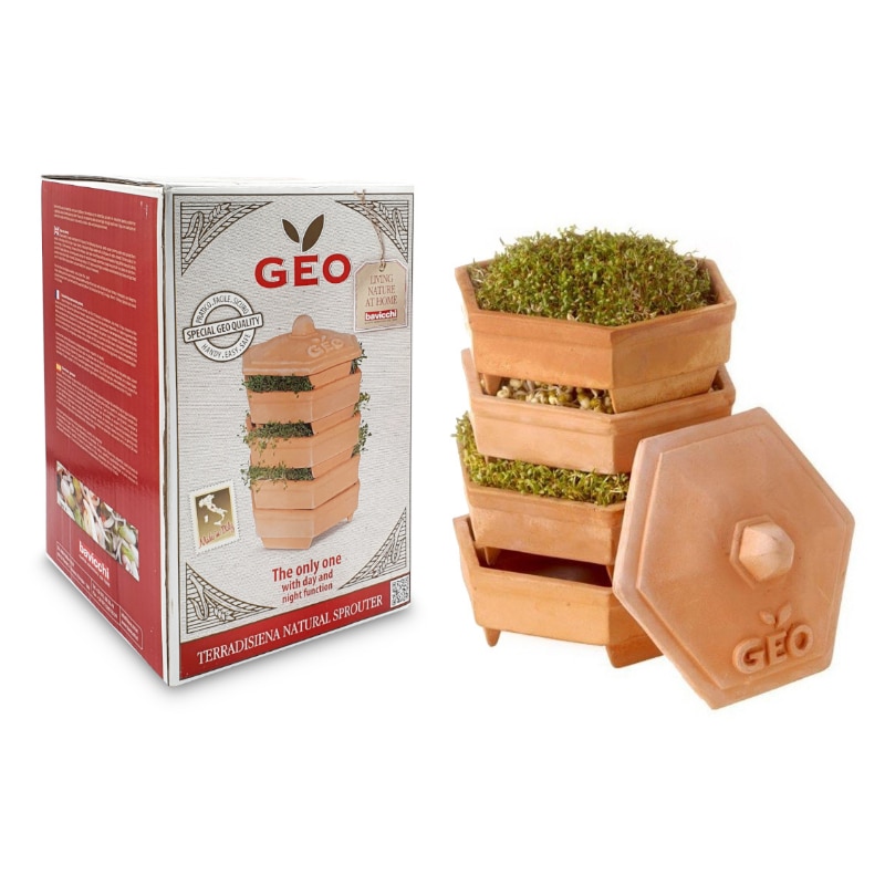 Germinator seminte Bavicchi Terra, Lut, 19x19x30cm, Maro - eMAG.ro