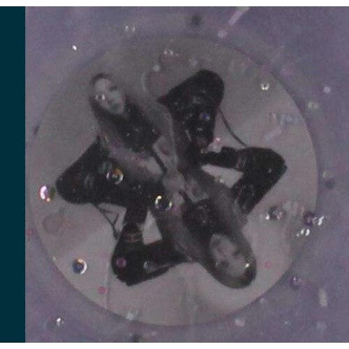 CL - Alpha -coloured- LP - eMAG.ro