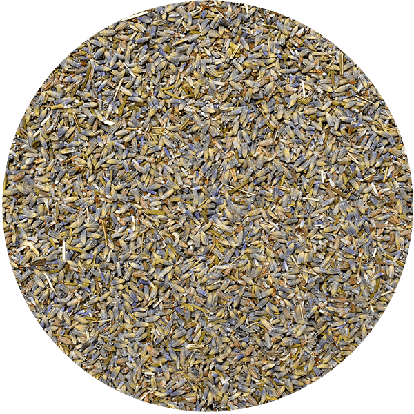 Ceai Lavanda Bio Mary Rose 25g - eMAG.ro