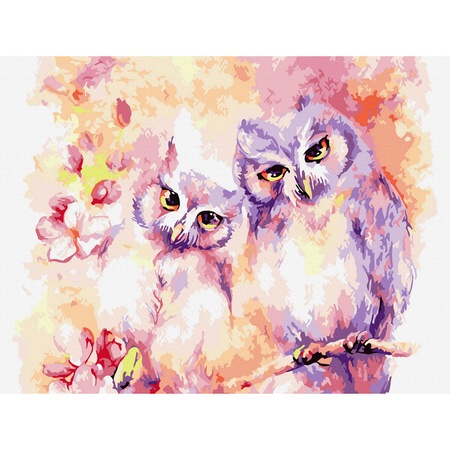 Set pictura pe numere, Iubeste bufnitele, 30x40 cm - eMAG.ro