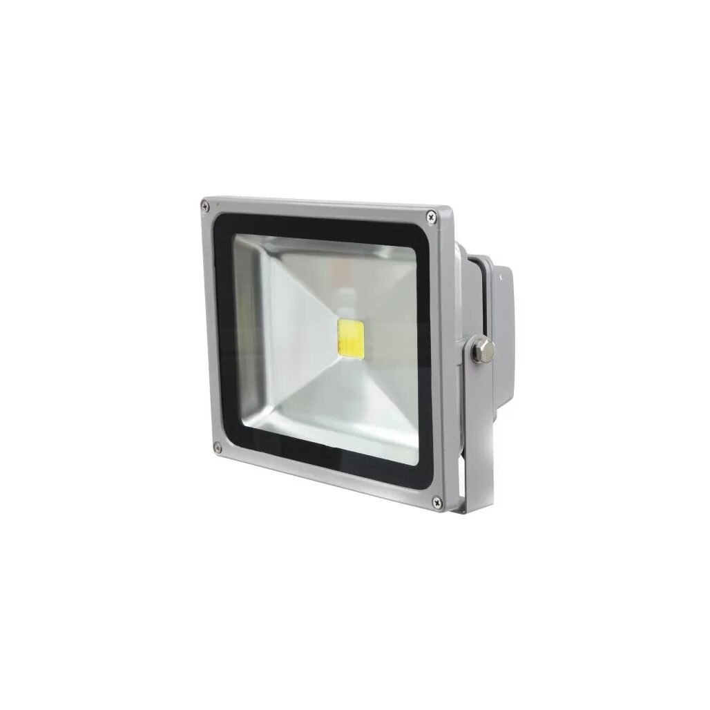 Proiector LED 10W 6400K 800lm IP66 TED001719 - eMAG.ro