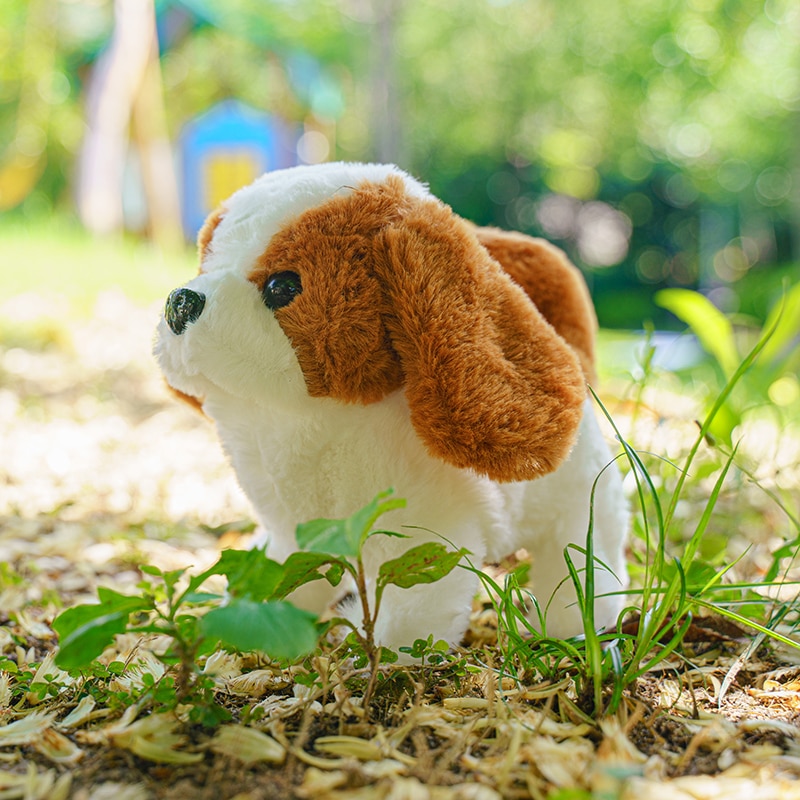 Jucarie catelus, Plus, Functie miscare/sunete, 3 ani+, Maro/Alb - eMAG.ro