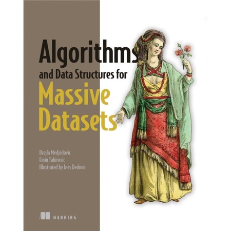 Algorithms and Data Structures for Massive Datasets de Dzejla ...