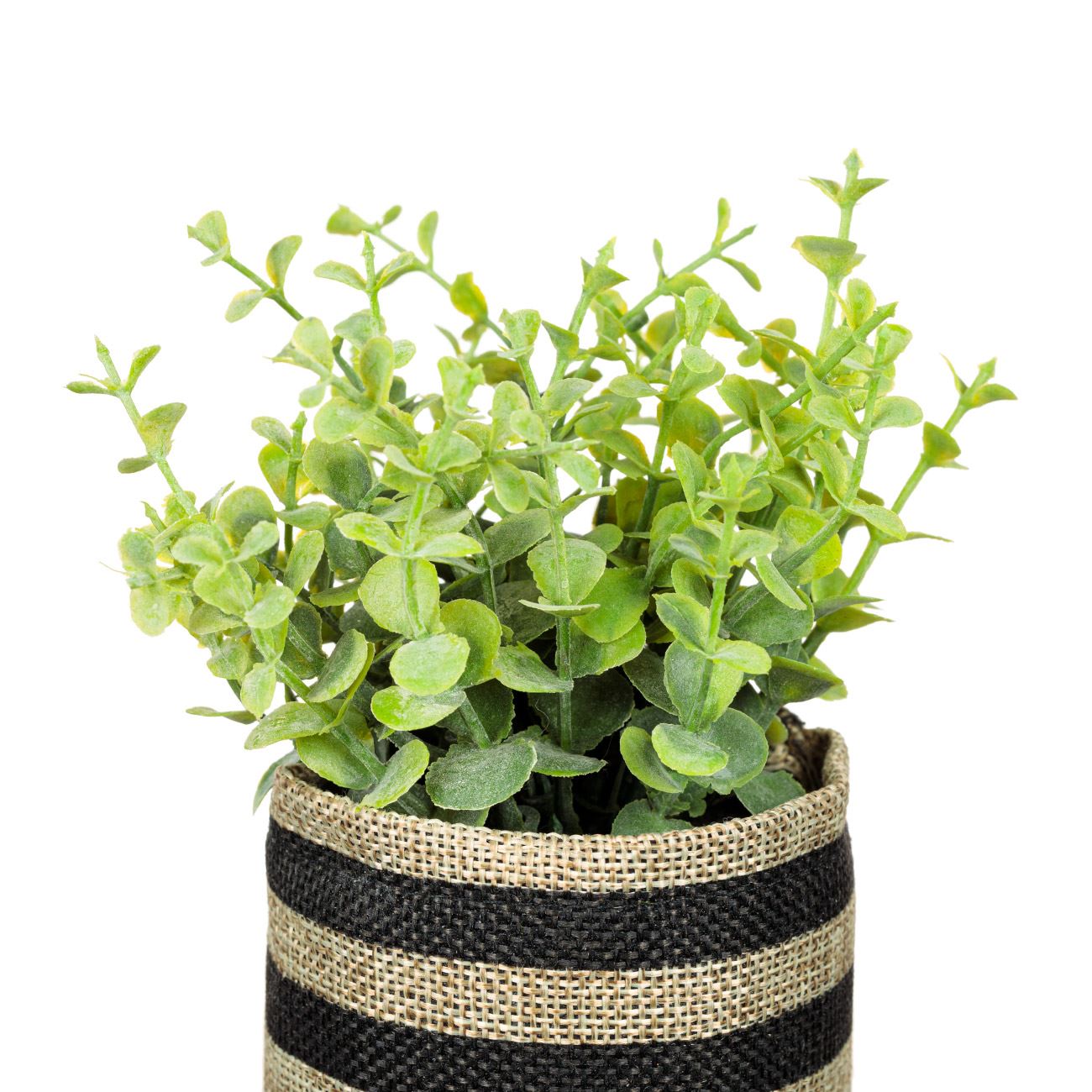 Ghiveci decorativ Busuioc, 19 cm - eMAG.ro