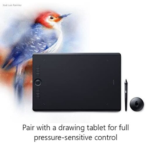 Corel Painter Essentials 6 licenta permanenta - eMAG.ro