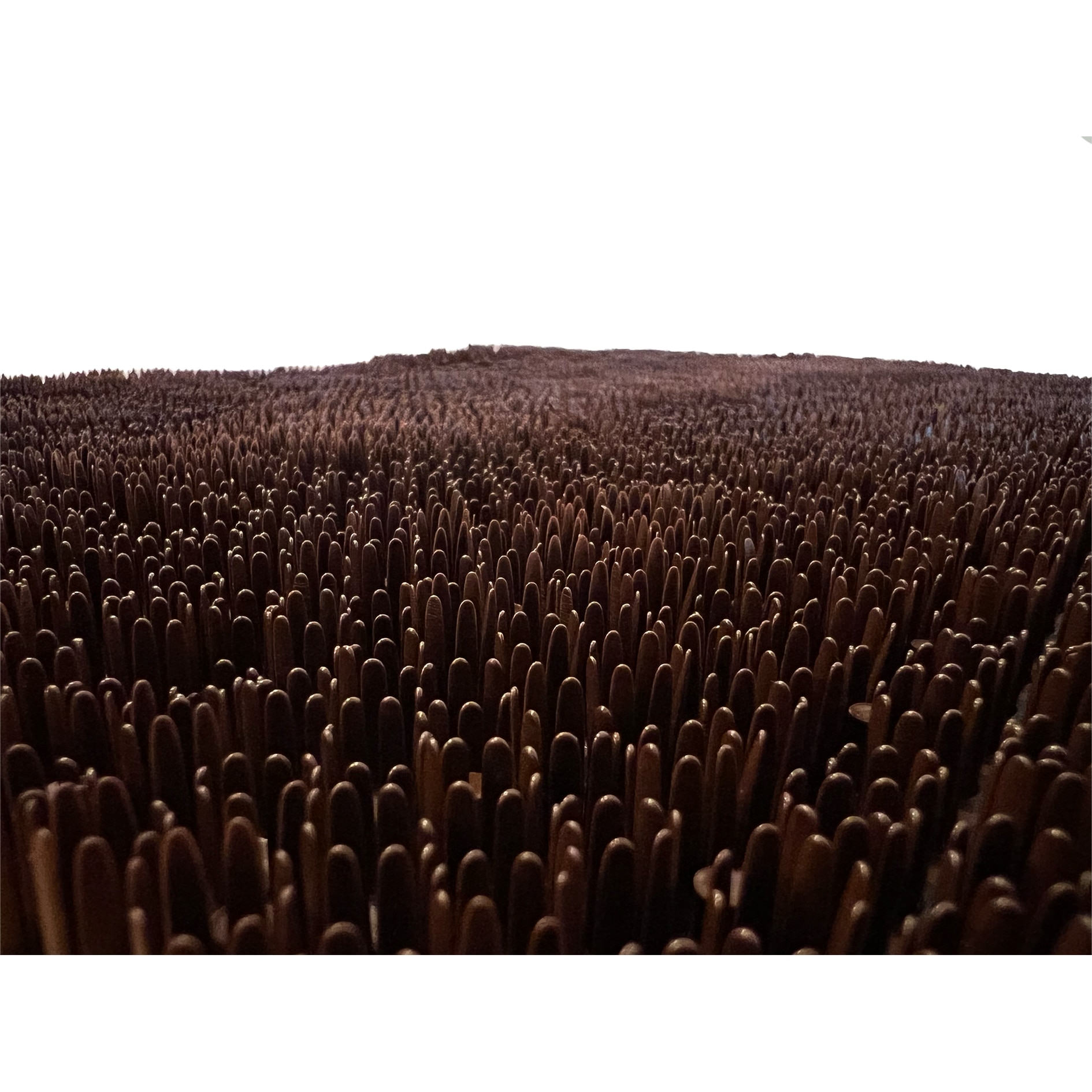 Pres de intrare din PVC cu Tepi, IL-PE, 40x60 cm, Maro - eMAG.ro