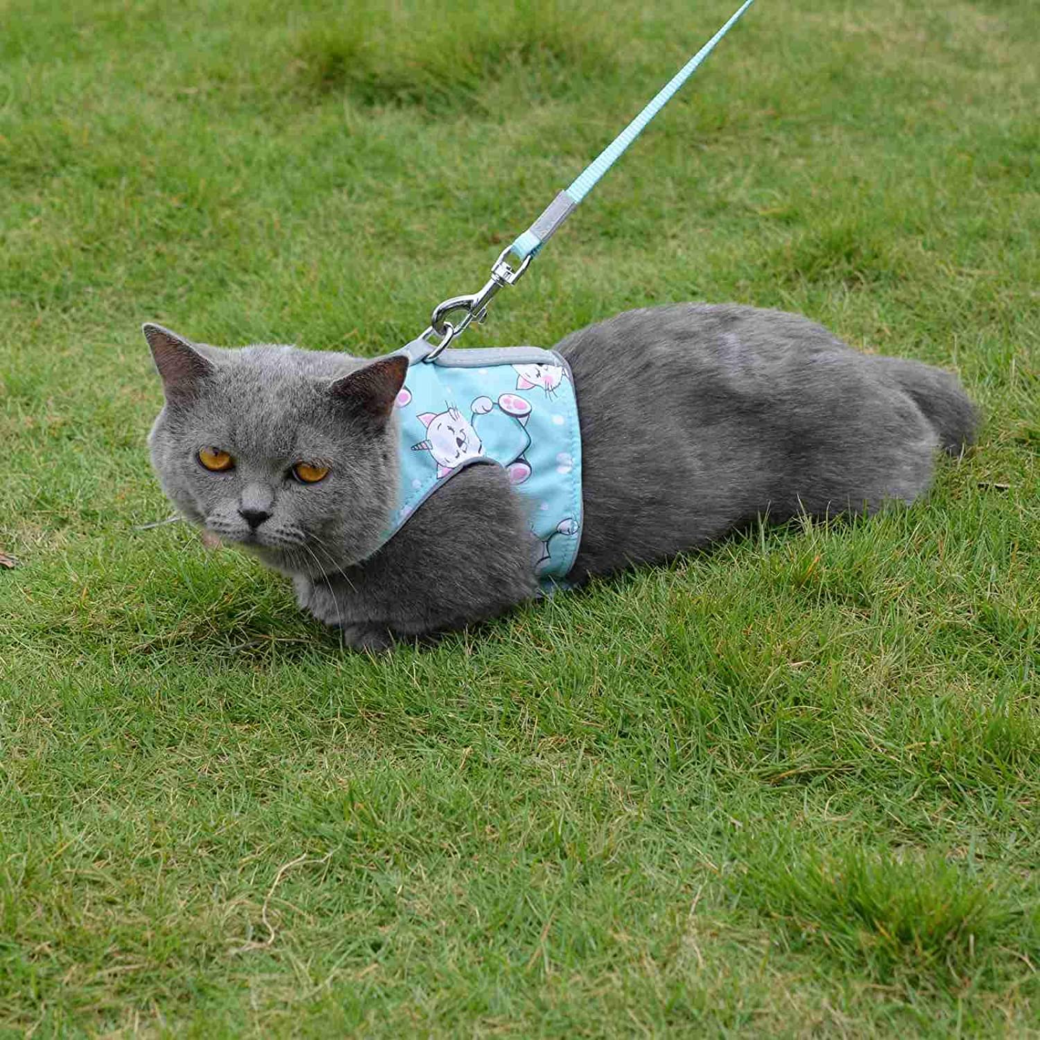 Set Ham si lesa pentru pisici, S, Addachic, Bleu - eMAG.ro