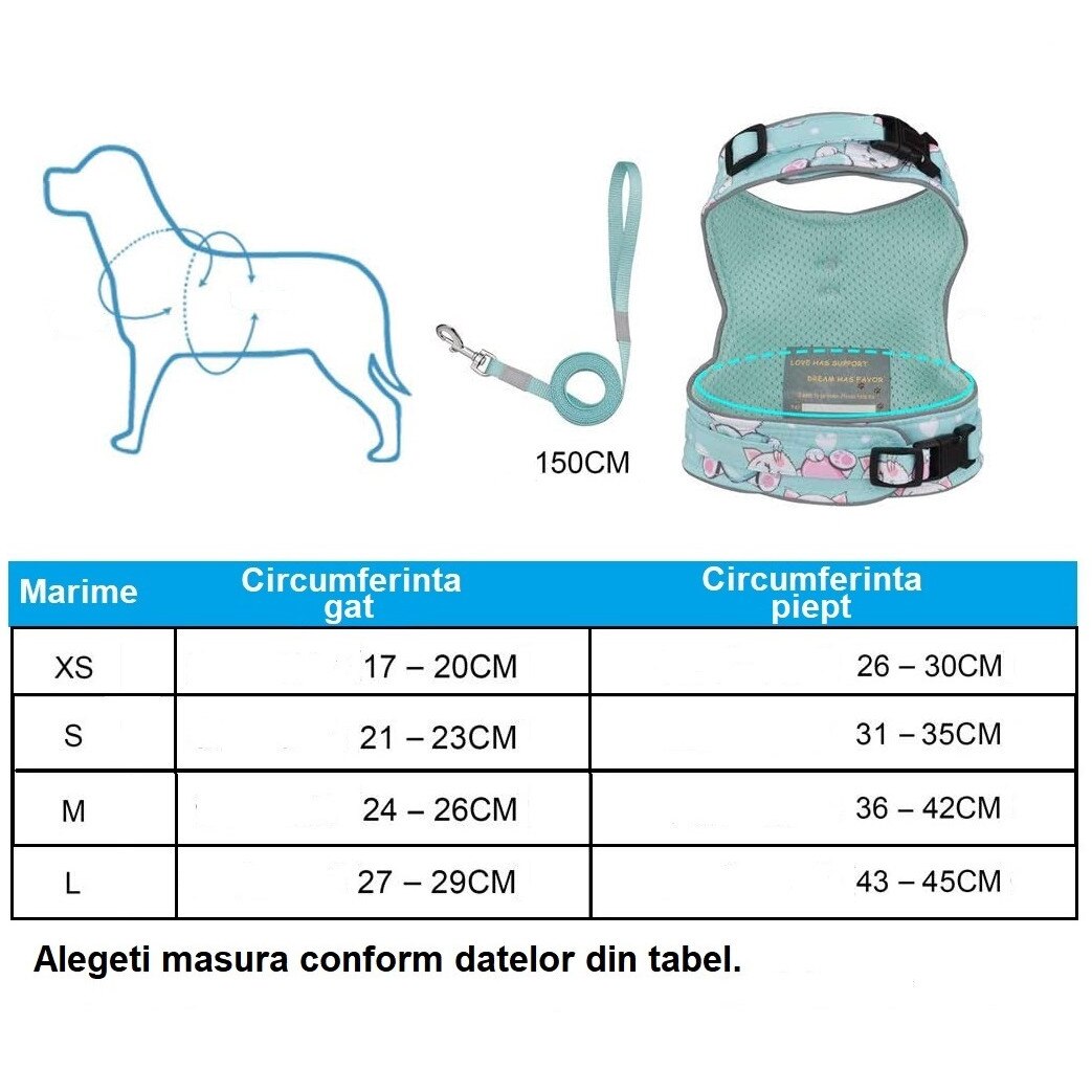 Set Ham si lesa pentru pisici, S, Addachic, Bleu - eMAG.ro