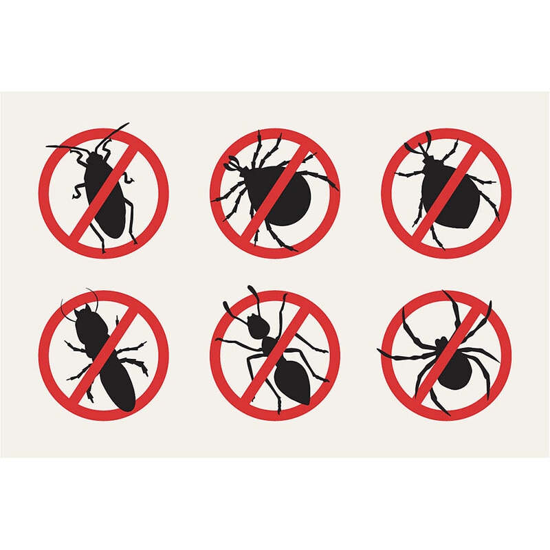 Insecticid acaricid CY10 Vebi anti tantari, muste, plosnite, gandaci ...