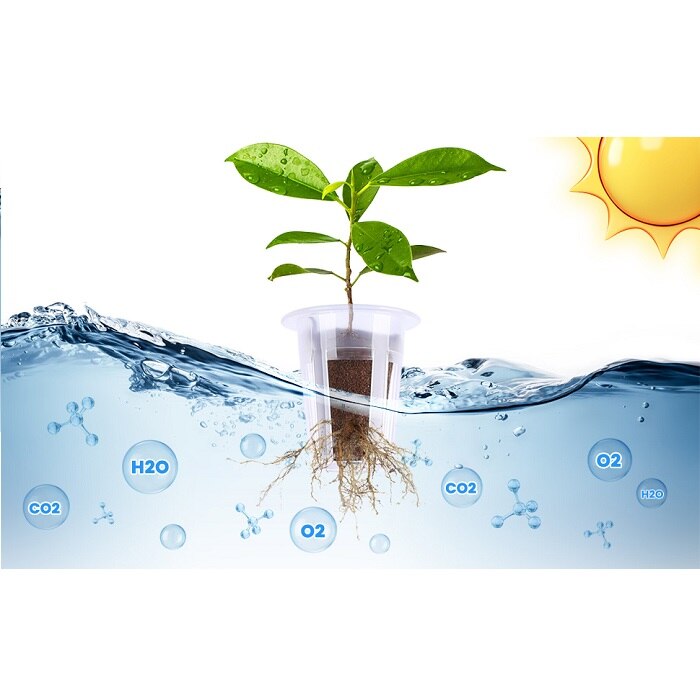 Sistem de inmultire hidroponica Ulikey, gradina interioara inteligenta ...