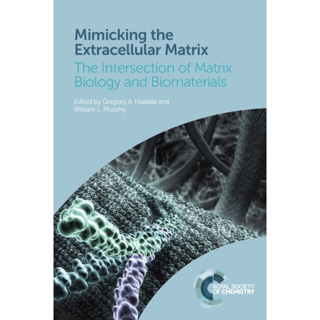 Mimicking the Extracellular Matrix: The Intersection of Matrix Biology ...