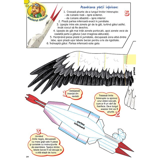 Revista Spiridusii pentru copii 6-10 ani, nr 36, tema Barza Alba, 28 ...