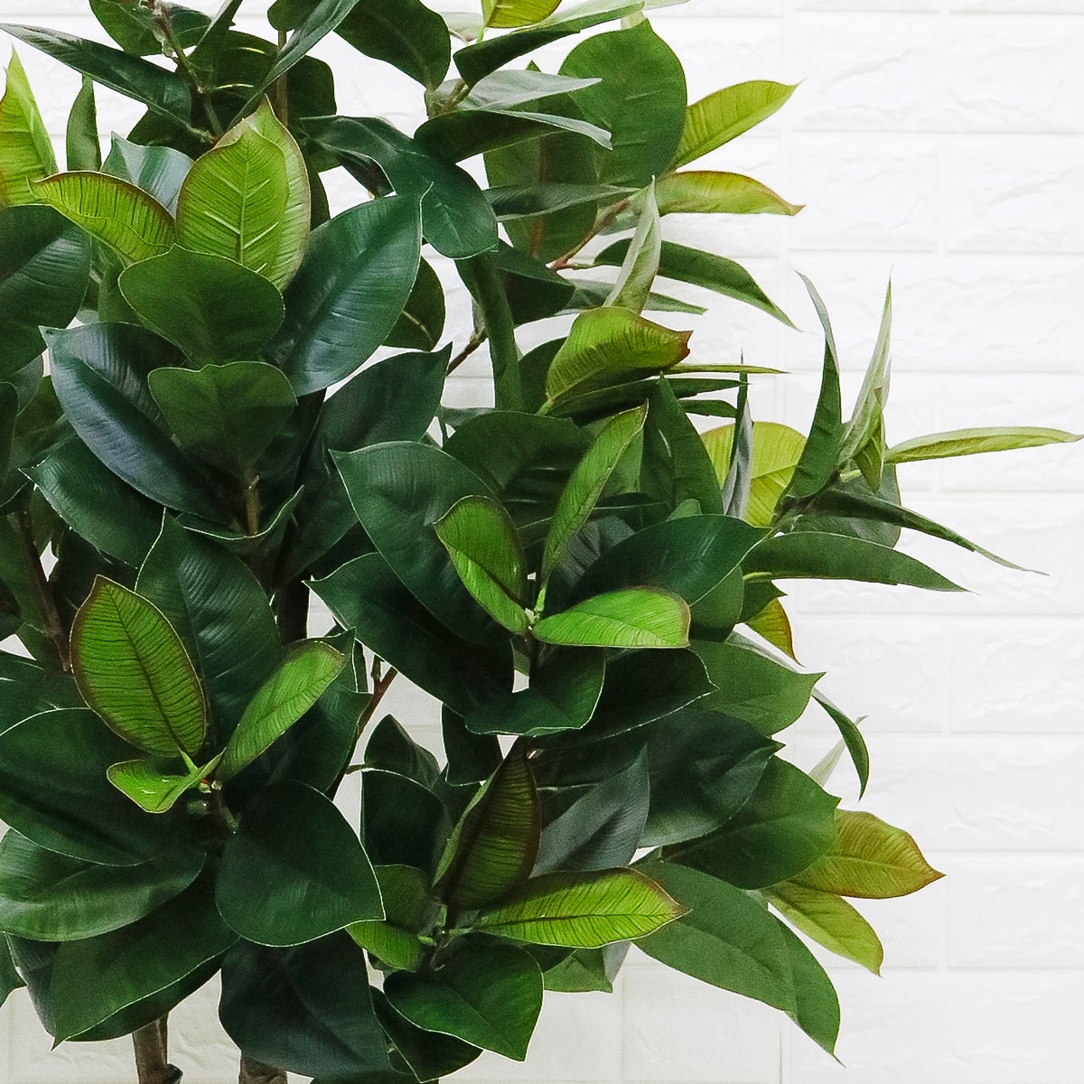 Planta artificiala, Ficus fara ghiveci, Naimeed D4279, 130cm, verde ...