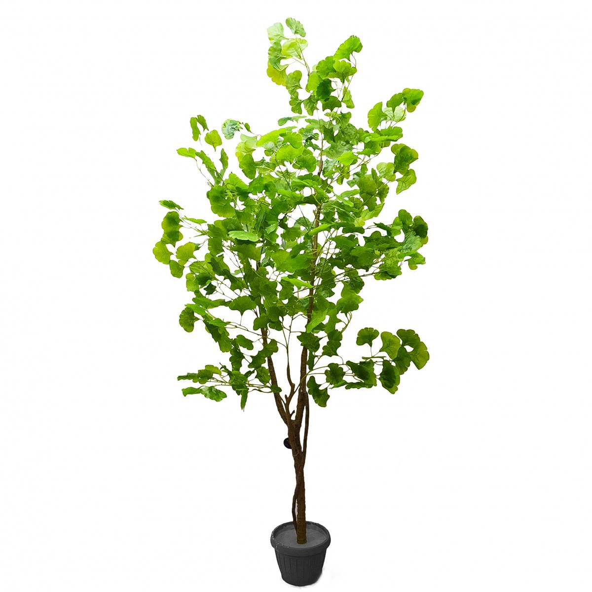 Copac artificial, Ginkgo Biloba fara ghiveci, Naimeed D3056, 210 cm ...