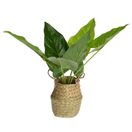 Planta decorativa artificiala, In cos, 46 x 29 cm, Iuta, Verde/Bej ...