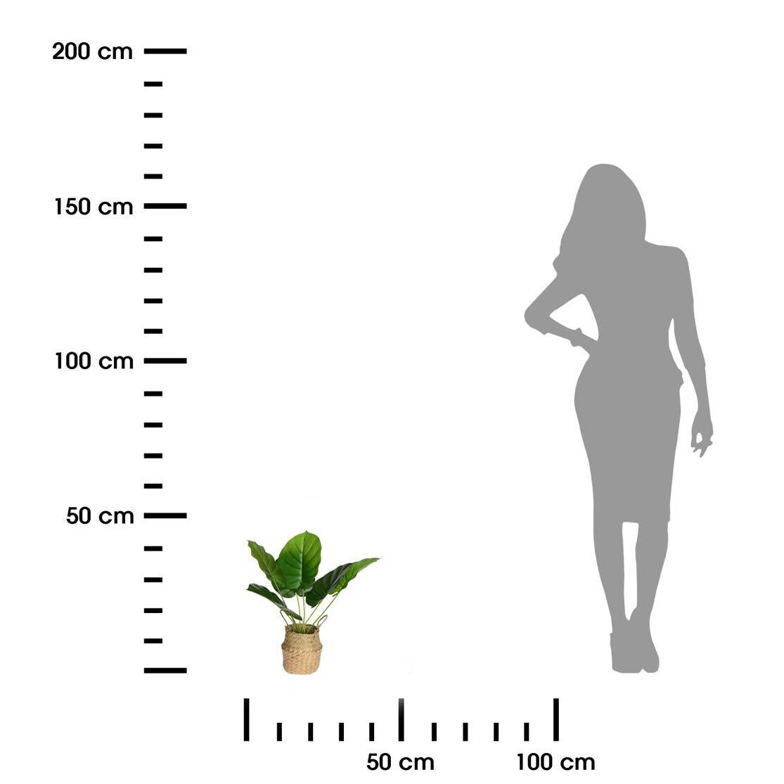 Planta decorativa artificiala, In cos, 46 x 29 cm, Iuta, Verde/Bej ...