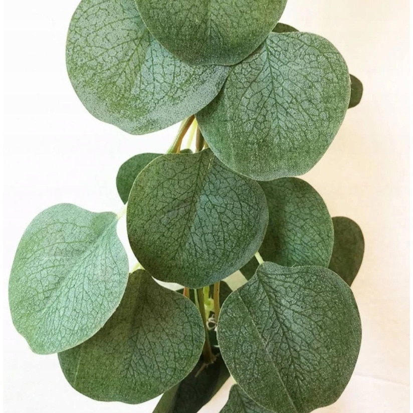 Ghirlanda eucalipt, Matase, 1.8m, Verde - eMAG.ro