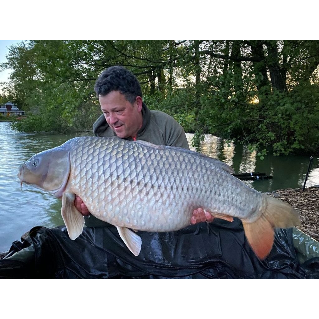 Momeala Carp Perfection Mini Pop-Up, Tandem Baits, 12 mm, 30 g, Sweet ...