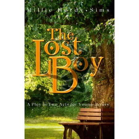 The Lost Boy de J. M. Barrie - eMAG.ro