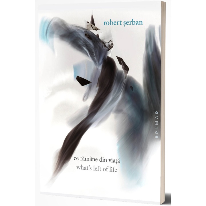 Ce ramane din viata / What’s left of life - Robert Serban - eMAG.ro