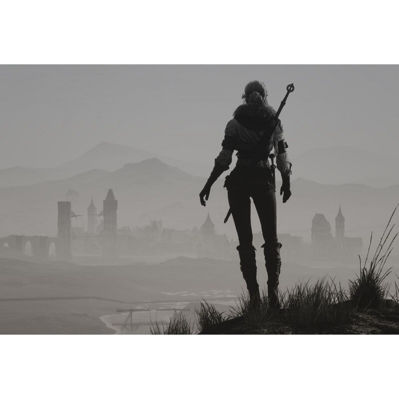 Poster Ciri The Witcher 3 Wild Hunt Minimal, 61x90cm, poster1083 ...