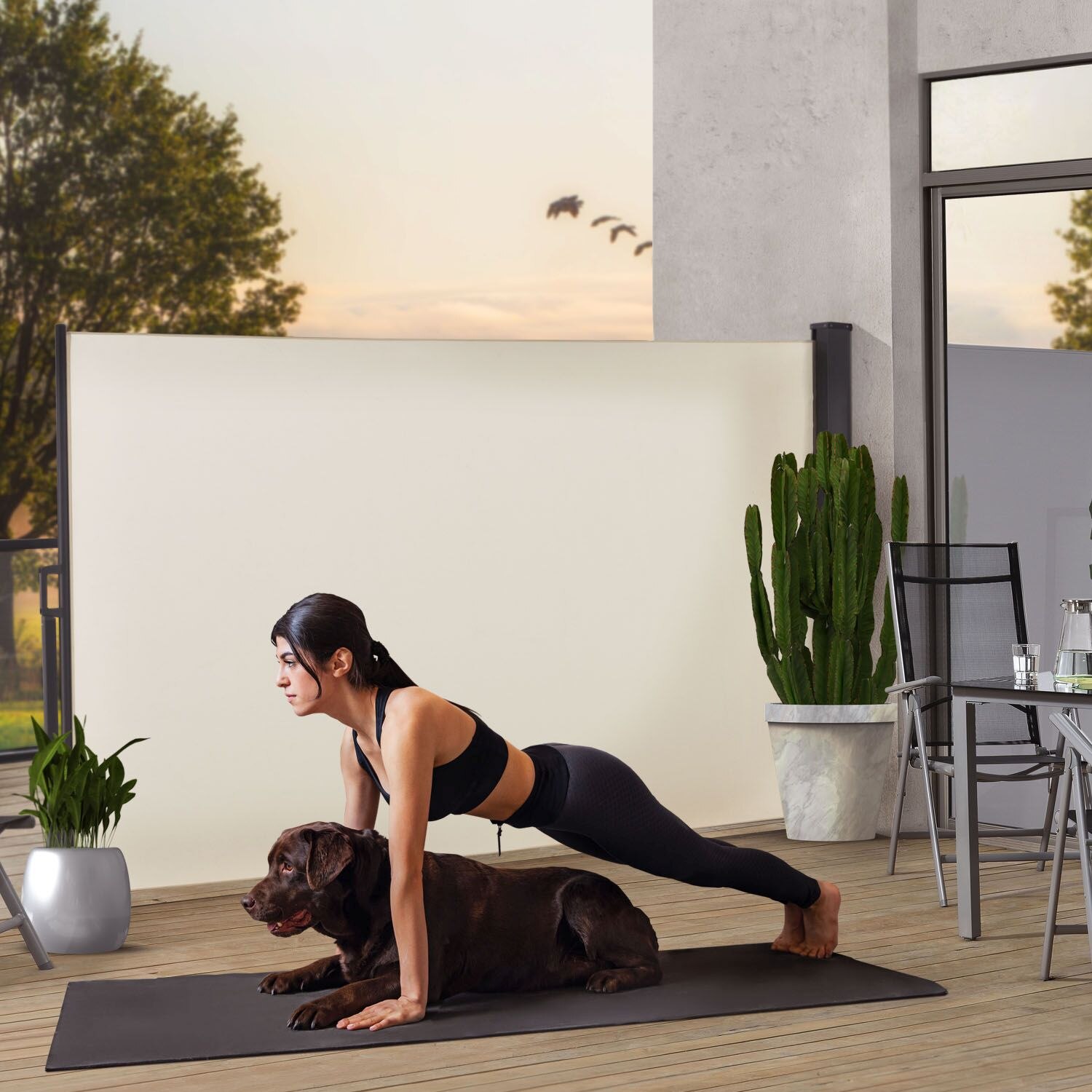 Paravan separator lateral Dubai, retractabil, pentru gradina, 500x160 ...