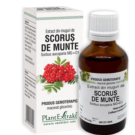 Extract din muguri de scorus de munte 50ml - eMAG.ro
