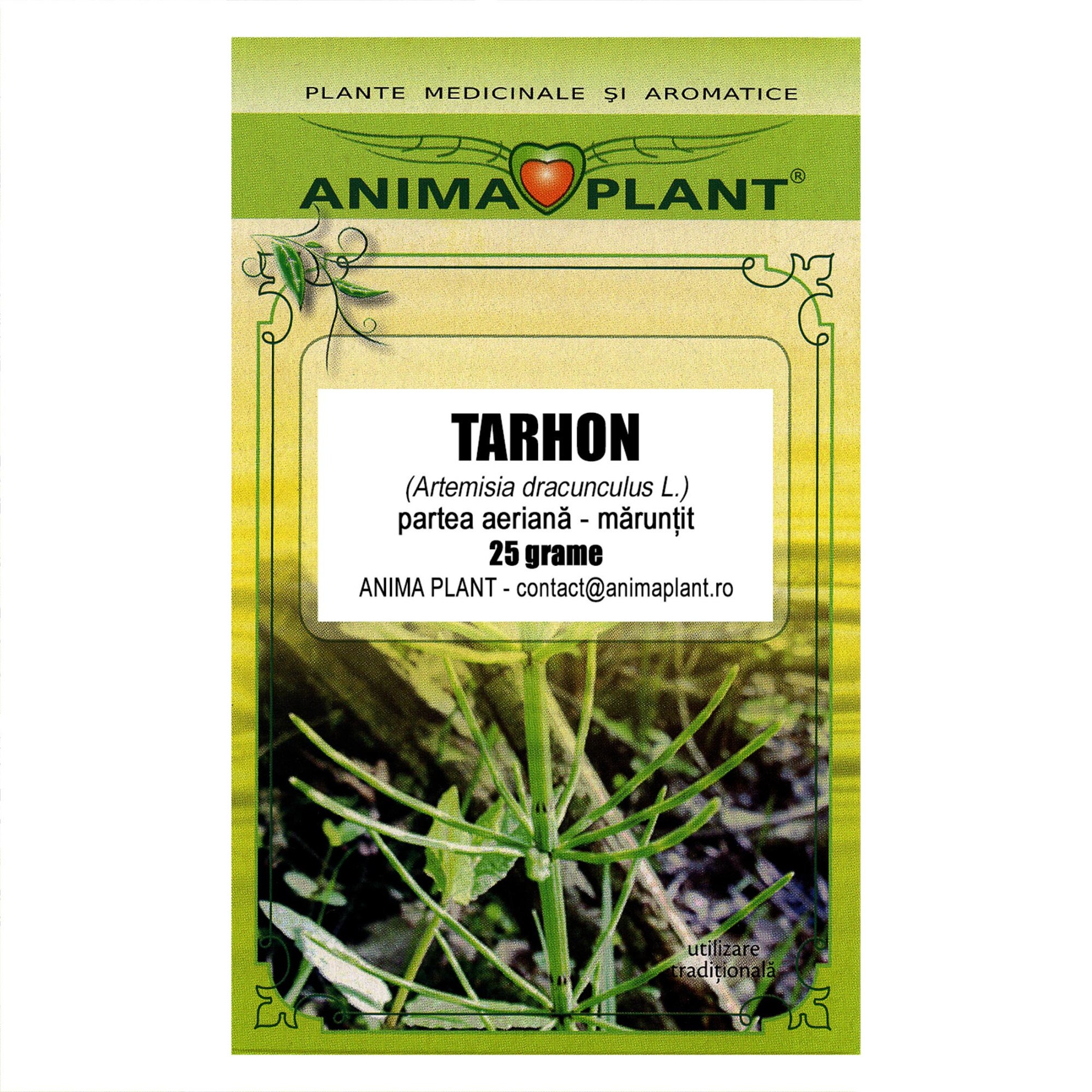 Tarhon, Artemisia dracunculus, partea aeriana, planta maruntita, pentru ...