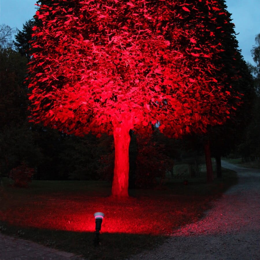 Bec LED Star Trading, E27, IP65, Rosu - eMAG.ro