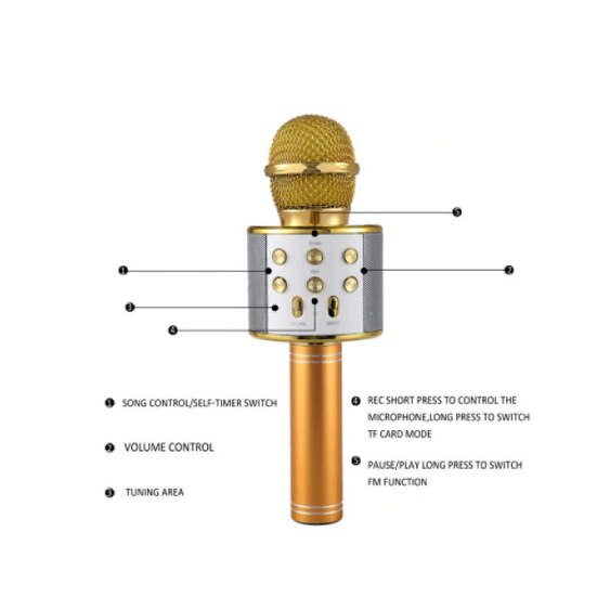 Microfon De Karaoke, Wireless, Cu Boxe Si Bluetooth, WSN, Design ...
