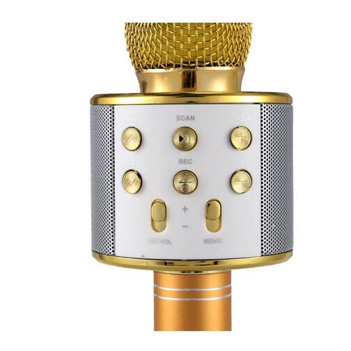 Microfon De Karaoke, Wireless, Cu Boxe Si Bluetooth, WSN, Design ...