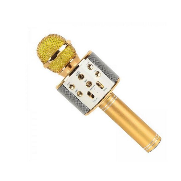 Microfon De Karaoke, Wireless, Cu Boxe Si Bluetooth, WSN, Design ...