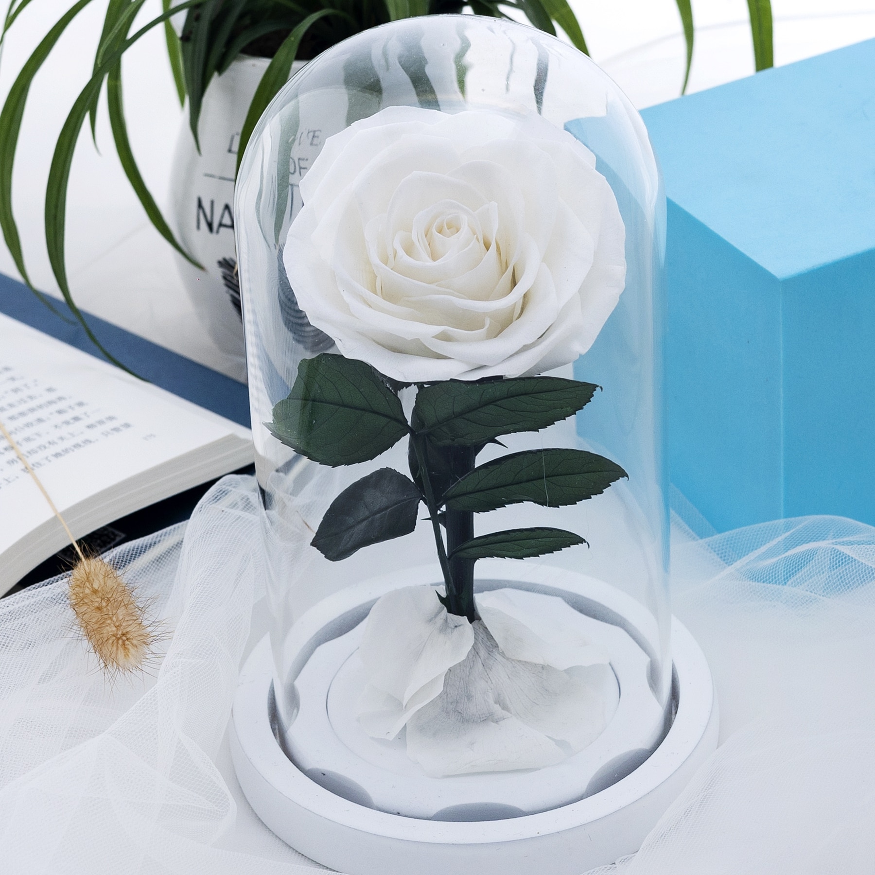 Trandafir Criogenat, Alb, Pe pat de petale, In cupola mica de sticla ...