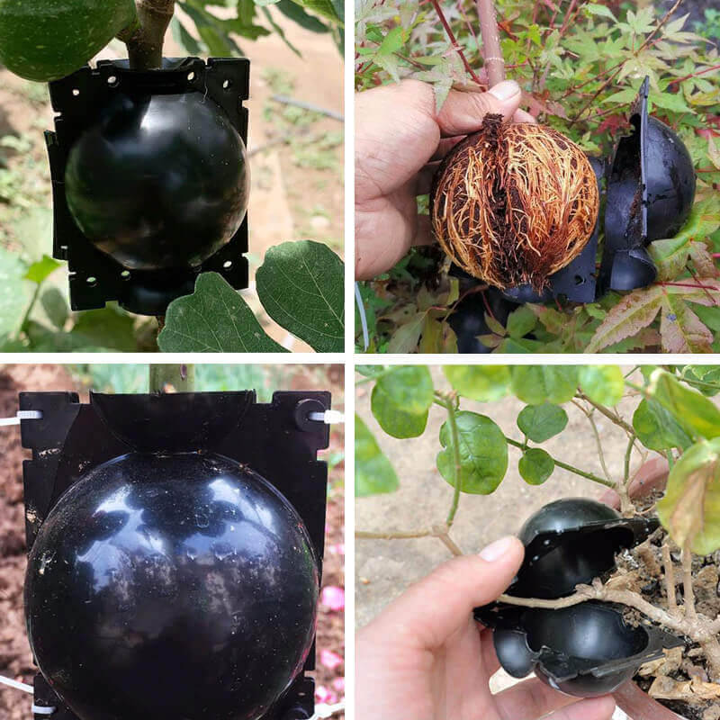 Set sfere pentru marcotare aeriana GrowBall, Smania, 5 bucati - eMAG.ro