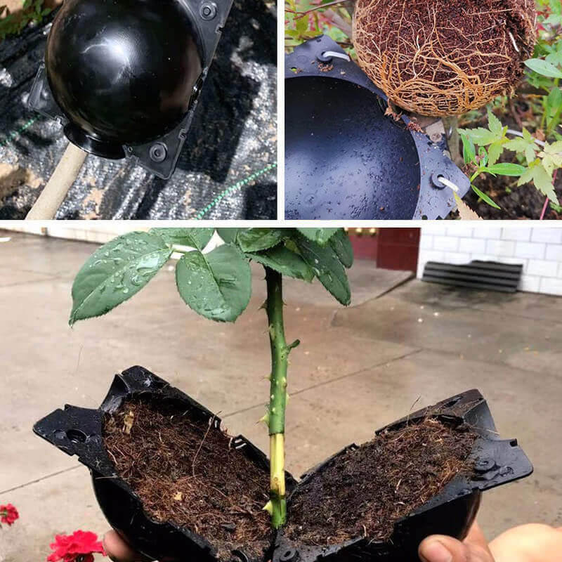 Set sfere pentru marcotare aeriana GrowBall, Smania, 5 bucati - eMAG.ro