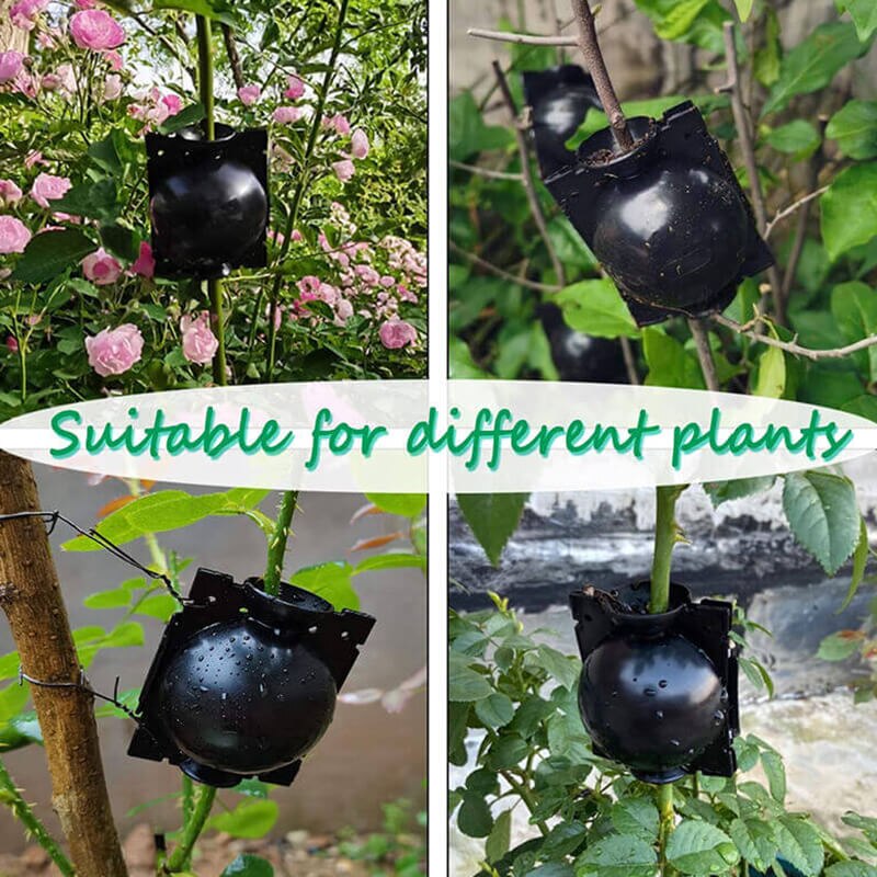 Set sfere pentru marcotare aeriana GrowBall, Smania, 5 bucati - eMAG.ro