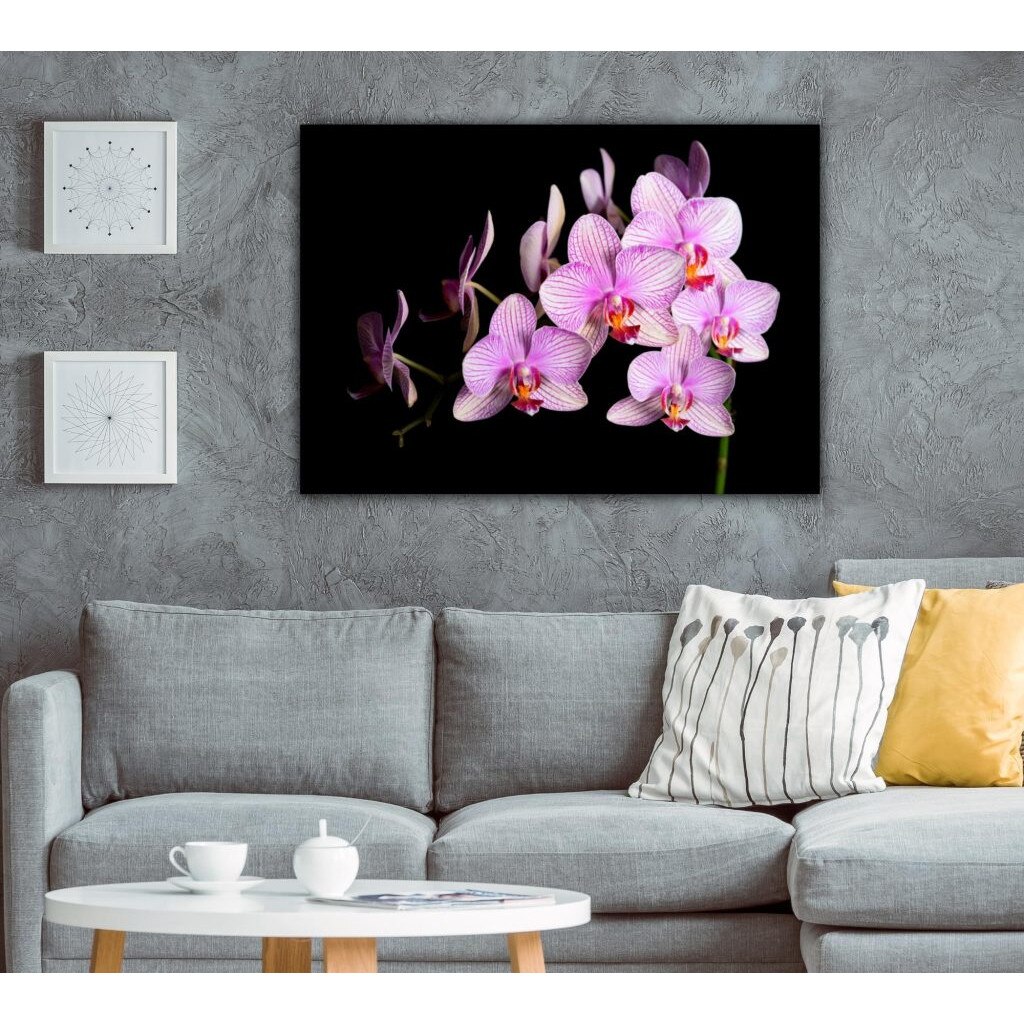 Tablou Canvas Premium, Florile in Lumina, Natura, Rama Lemn Masiv, 100 ...