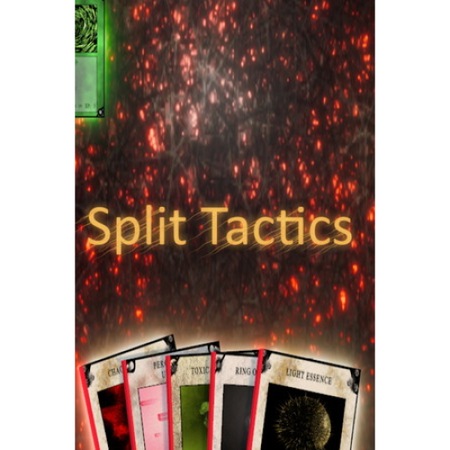 Split Tactics (PC - Steam elektronikus játék licensz) - eMAG.hu