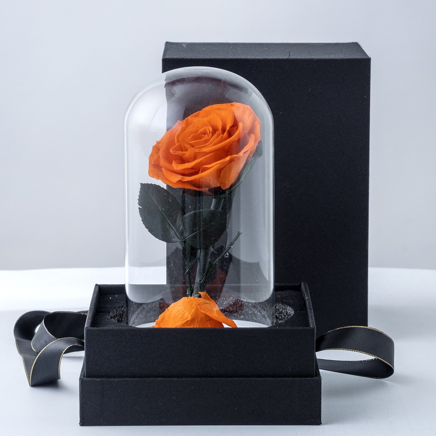 Trandafir Criogenat, Portocaliu, Pe pat de petale, In cupola mica de ...