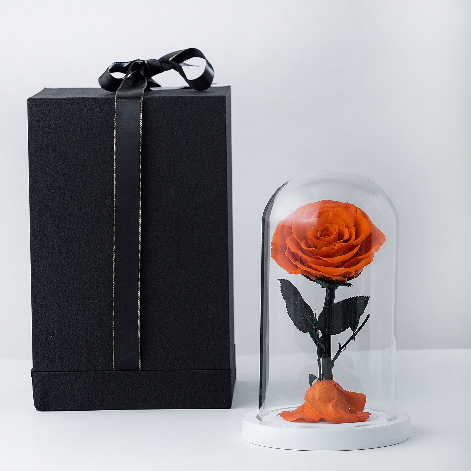 Trandafir Criogenat, Portocaliu, Pe pat de petale, In cupola mica de ...