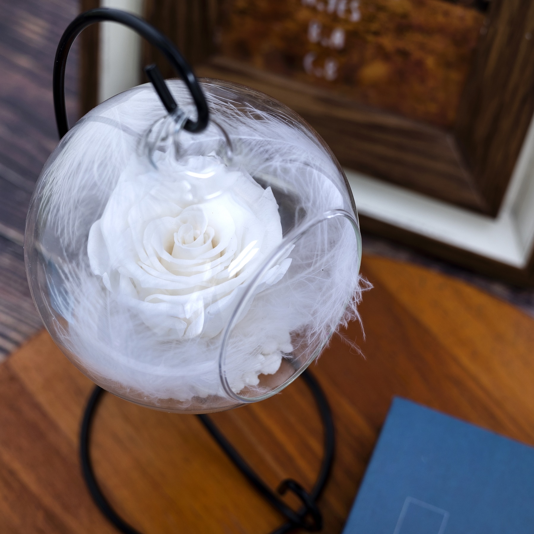 Trandafir Criogenat, Alb, Pe pat de petale, In cupola mica de sticla ...