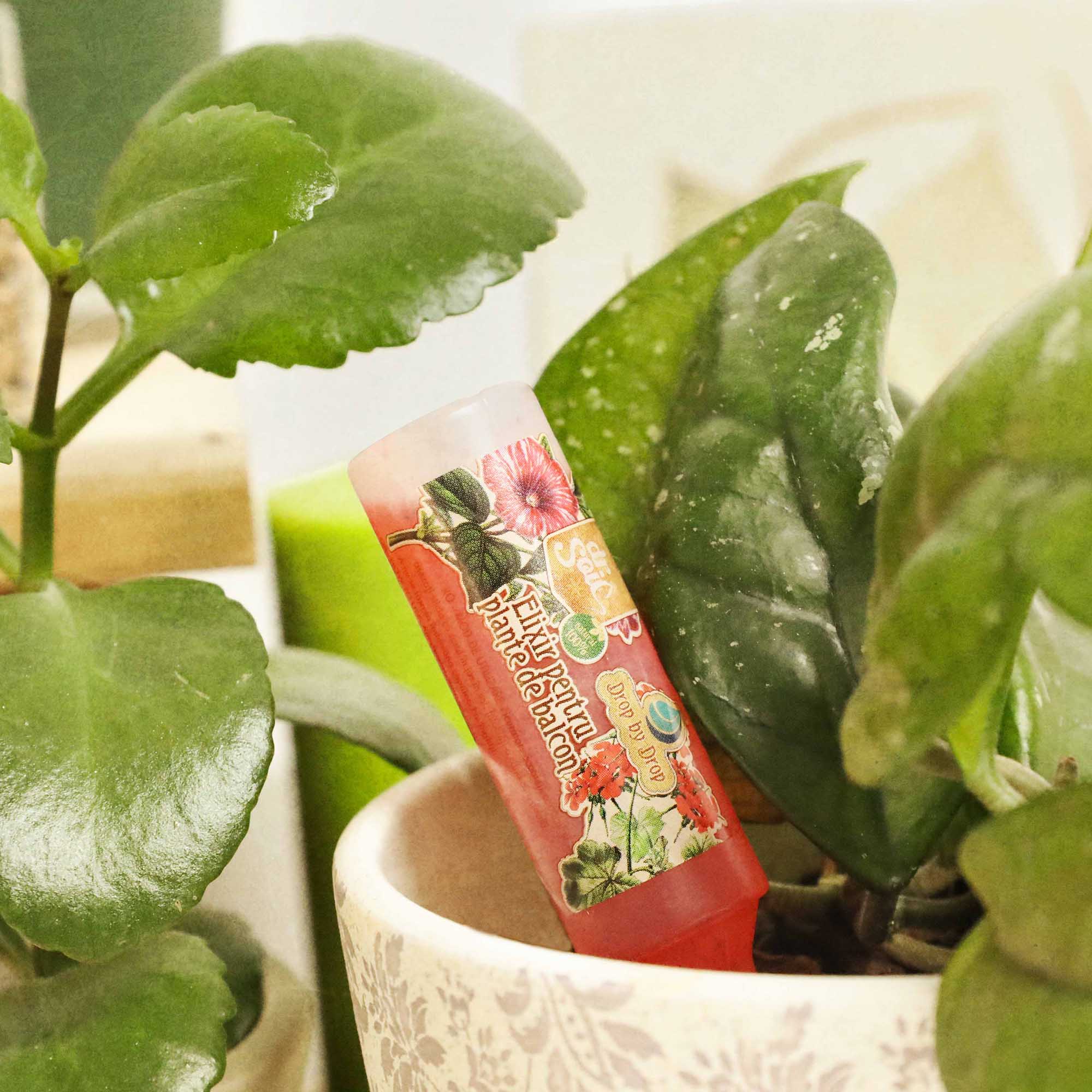 Комплект от 10 Dr.Soil Drop-by-Drop ампули за мушкато и балконски ...