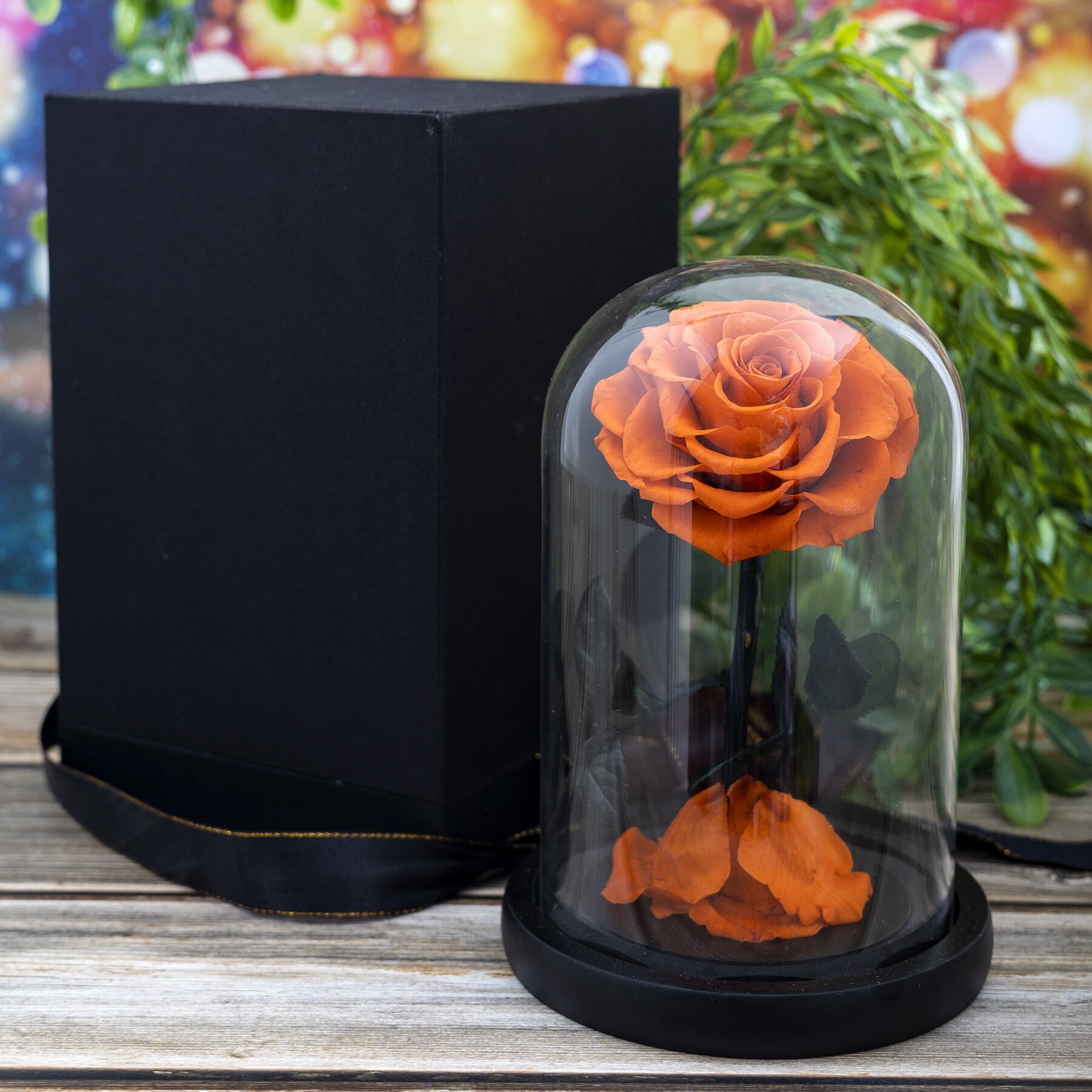 Trandafir criogenat mare, Portocaliu, Pe pat de petale, In cupola mare ...