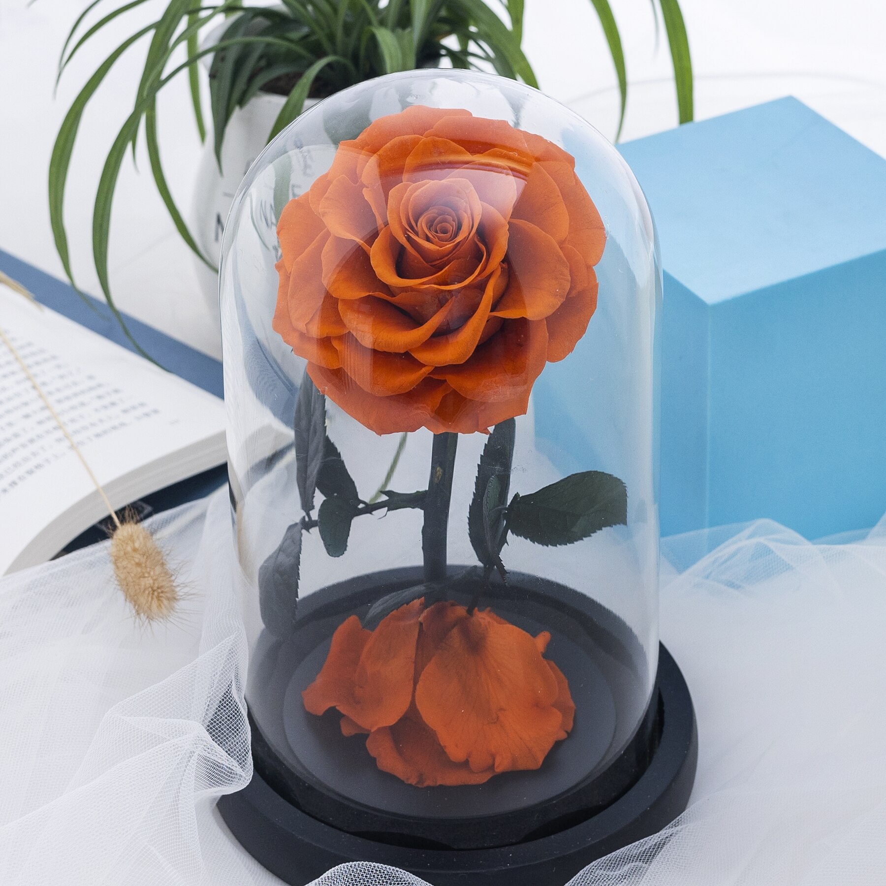 Trandafir criogenat mare, Portocaliu, Pe pat de petale, In cupola mare ...